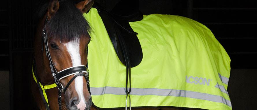 Reflexer häst - Köp Reflexer till häst | Djurgårdens Ridsport