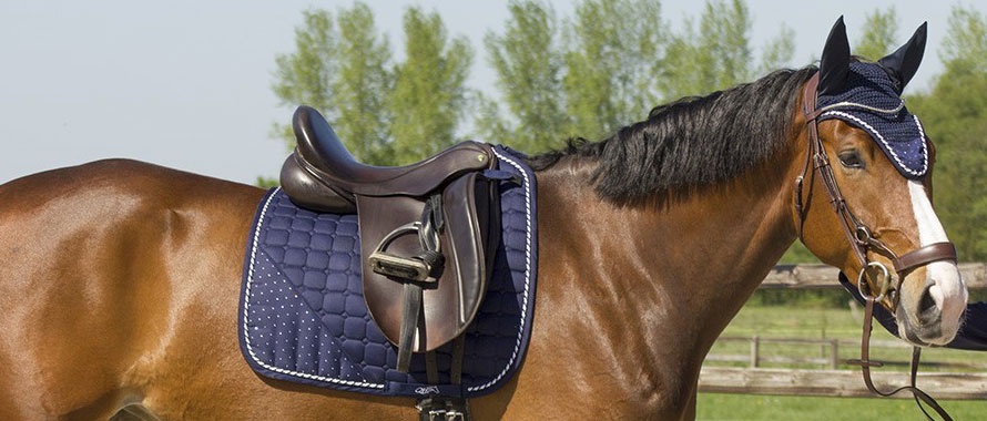 Sadel och tillbehör